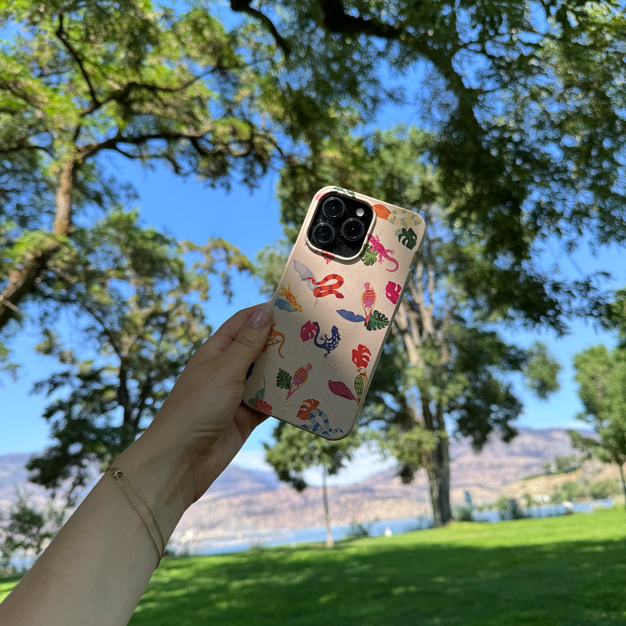 Seashell Into the Tropics iPhone 16 Pro Case – Pela Case