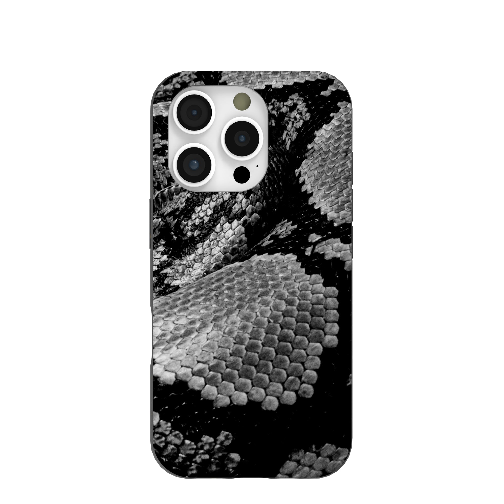 Black Snake Scale iPhone 16 Pro Case – Pela Case