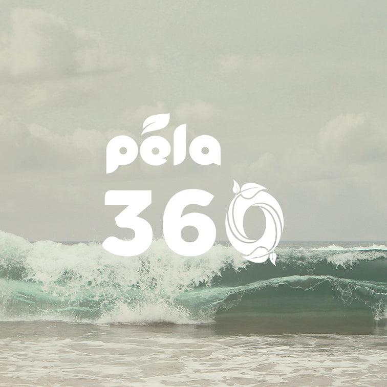 Our Footprint – Pela Case