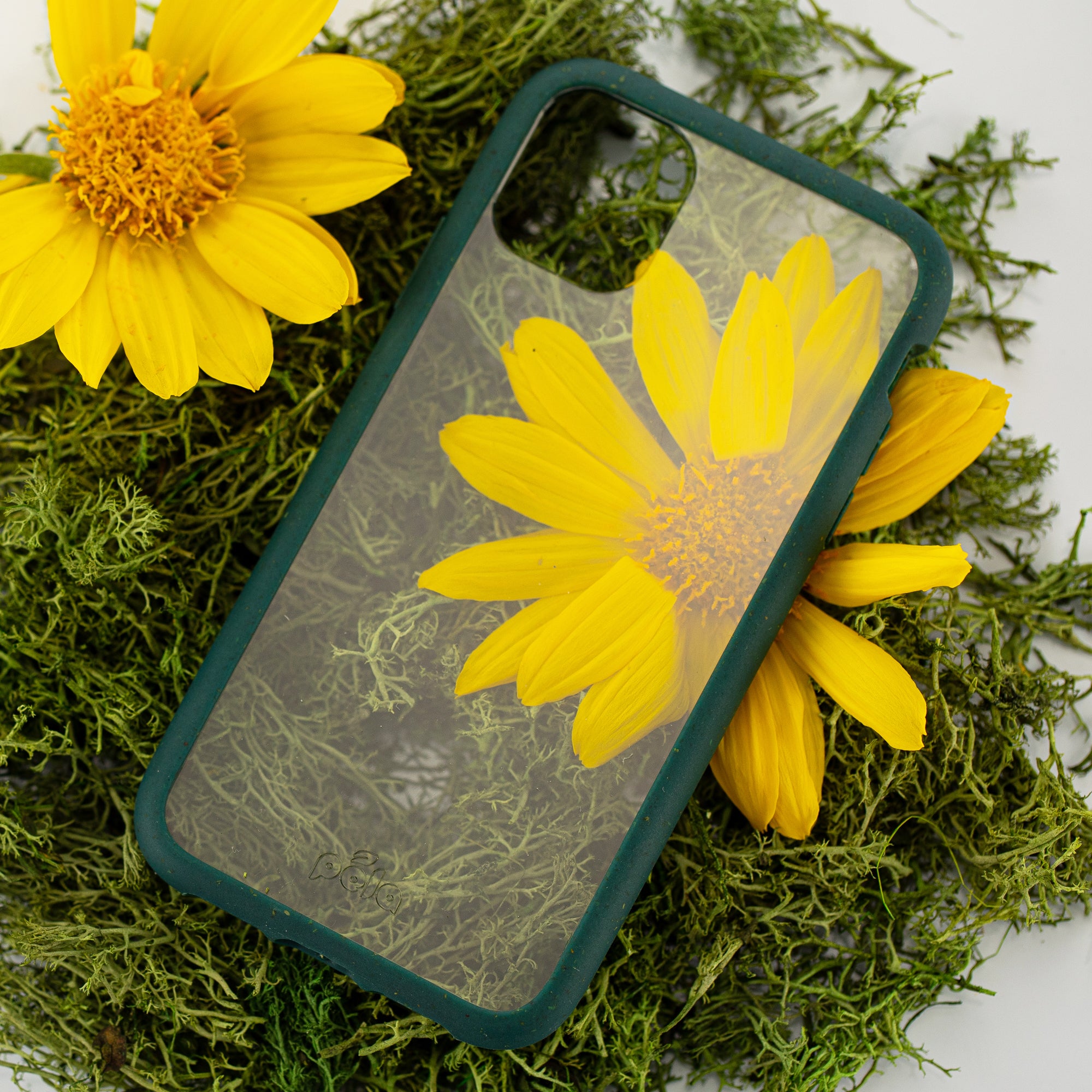 Clear iPhone XR Case with Green Ridge – Pela Case