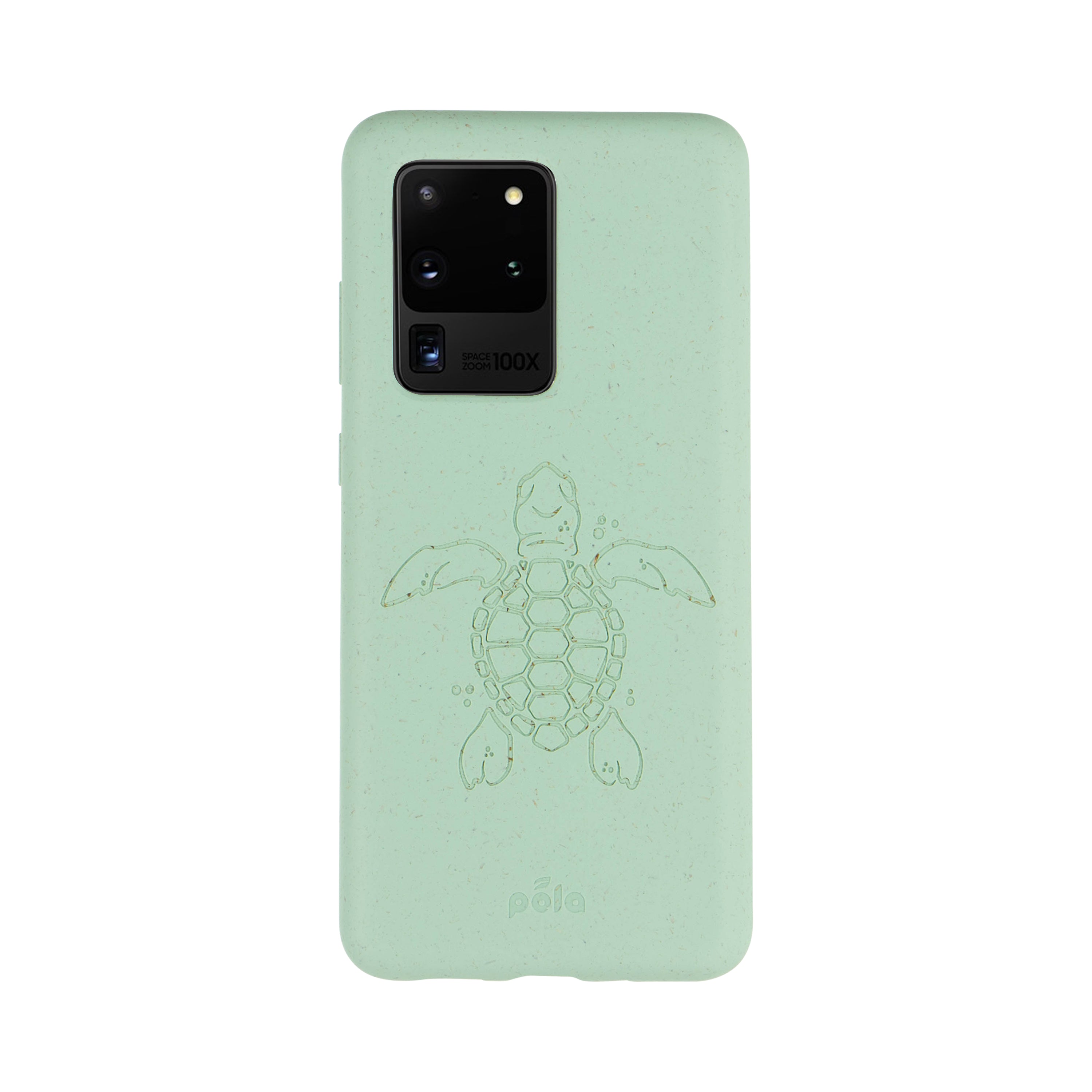 Limited Edition Turtle Cases – Pela Case